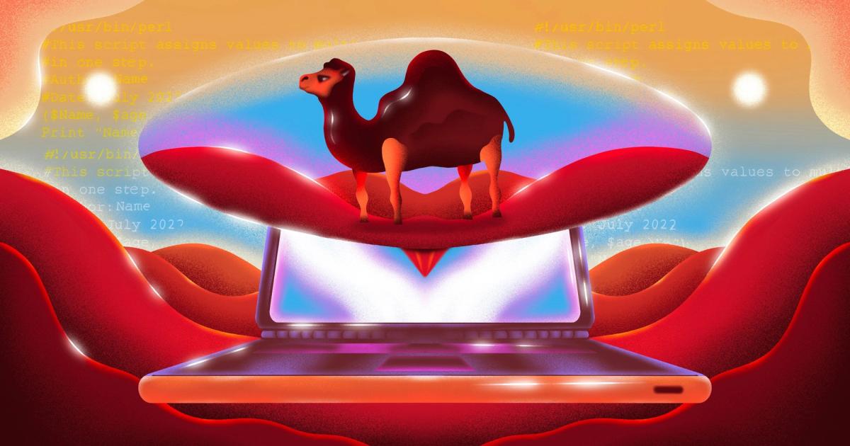 Why Perl is still relevant in 2022 - Stack Overflow